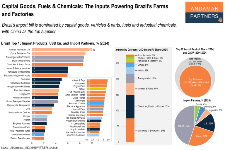 Brazil’s Economic Outlook in 2025: Risk and Resilience | ANDAMAN PARTNERS